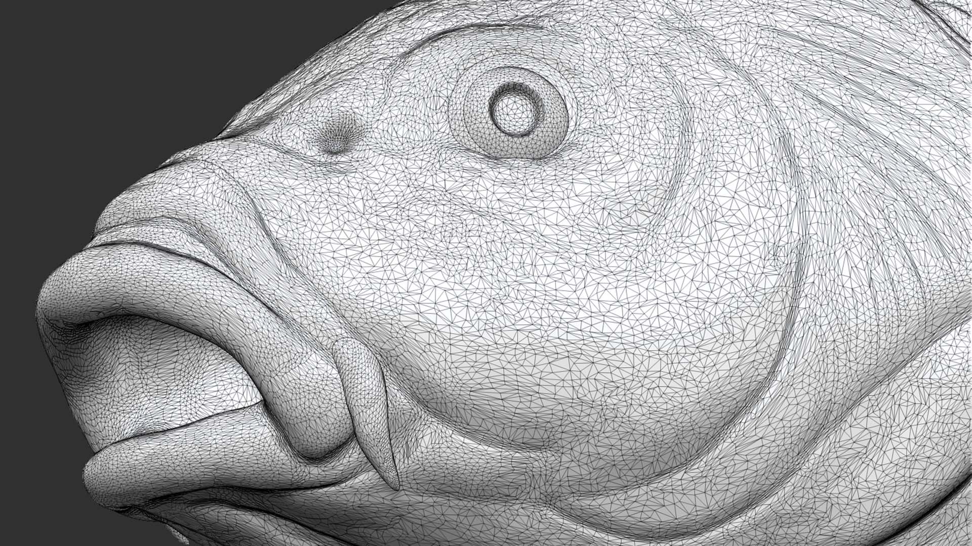 3D Carp Fish On The Base Model - TurboSquid 2229287