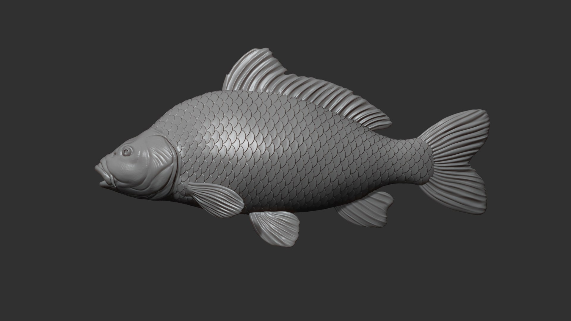 3D Carp Fish On The Base Model - TurboSquid 2229287