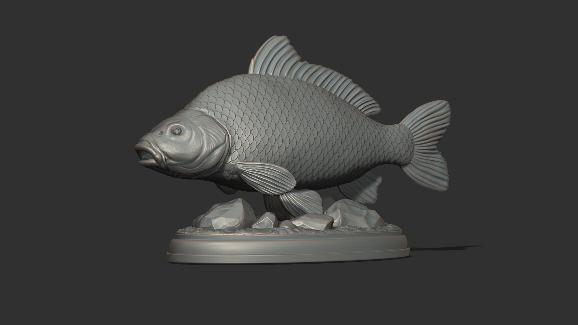 3D Carp Fish On The Base Model - TurboSquid 2229287