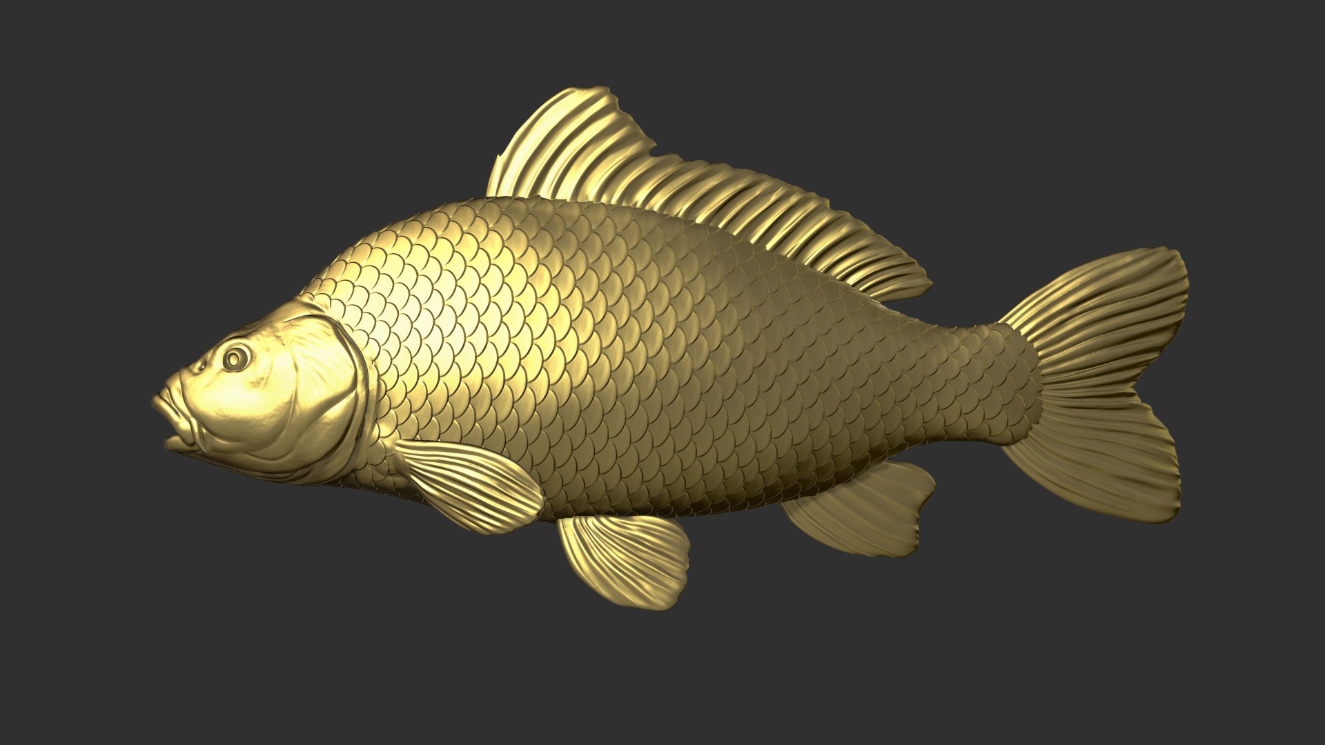 3D Carp Fish On The Base Model - TurboSquid 2229287