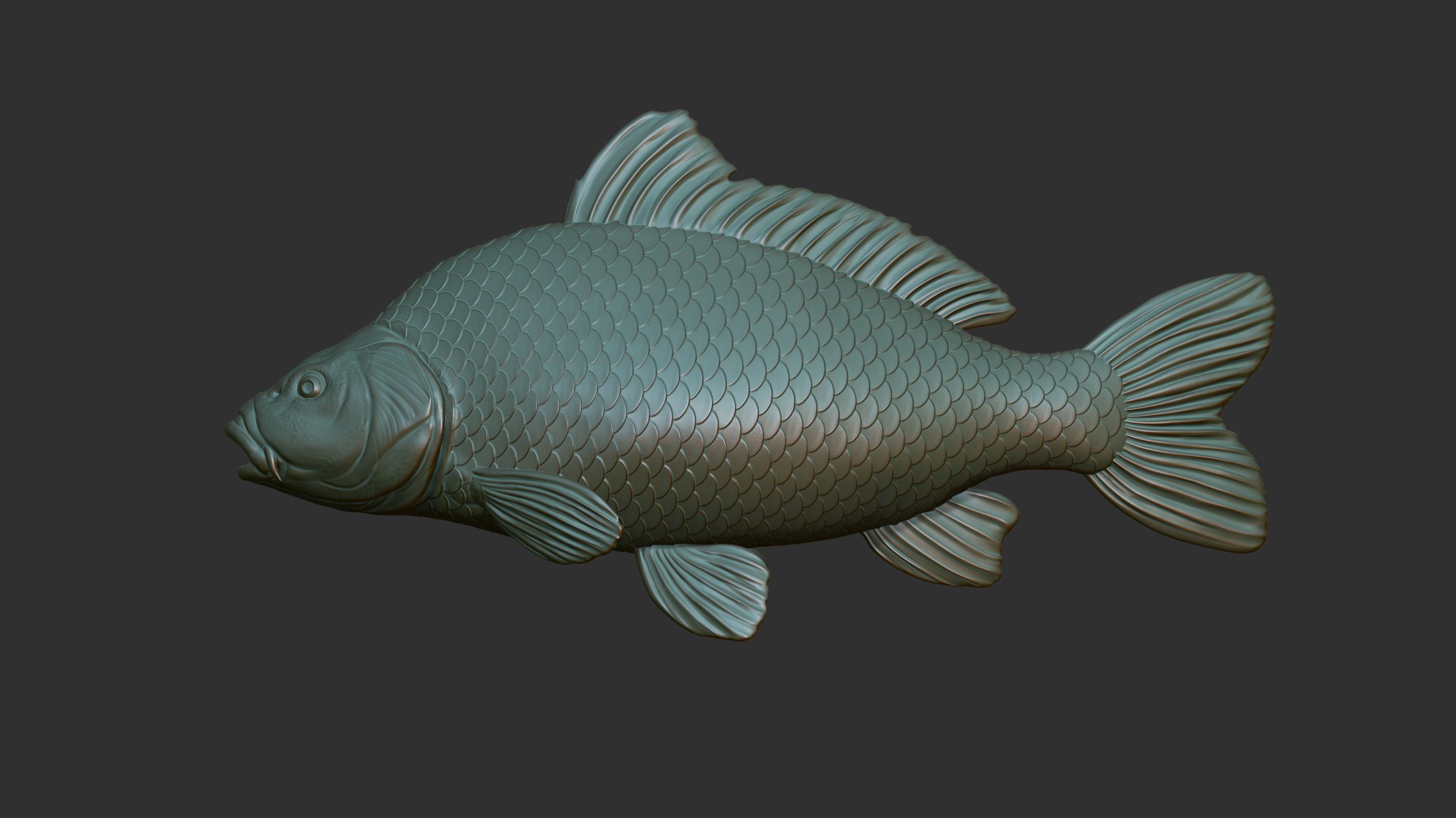 3D Carp Fish On The Base Model - TurboSquid 2229287