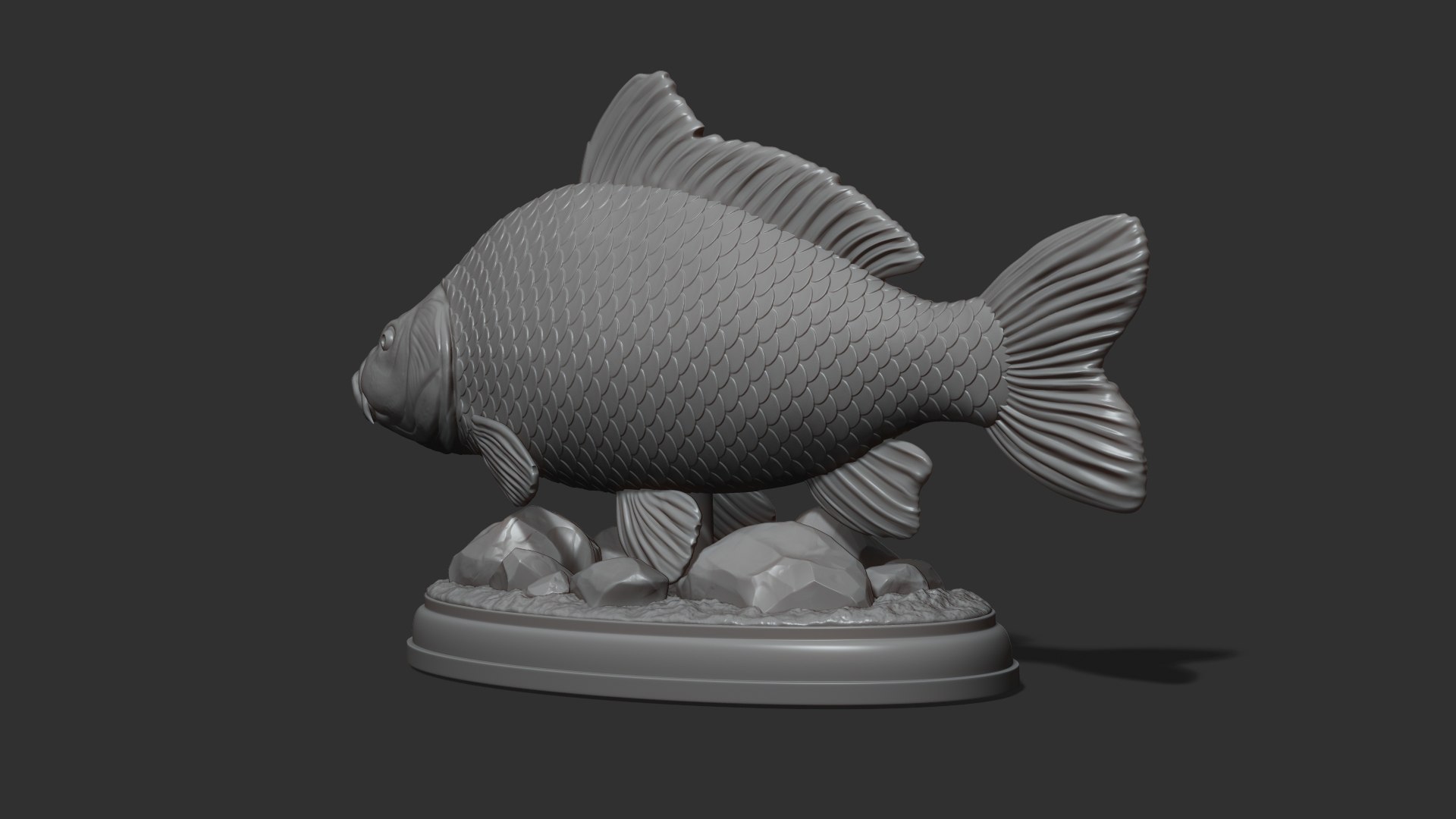 3D Carp Fish On The Base Model - TurboSquid 2229287