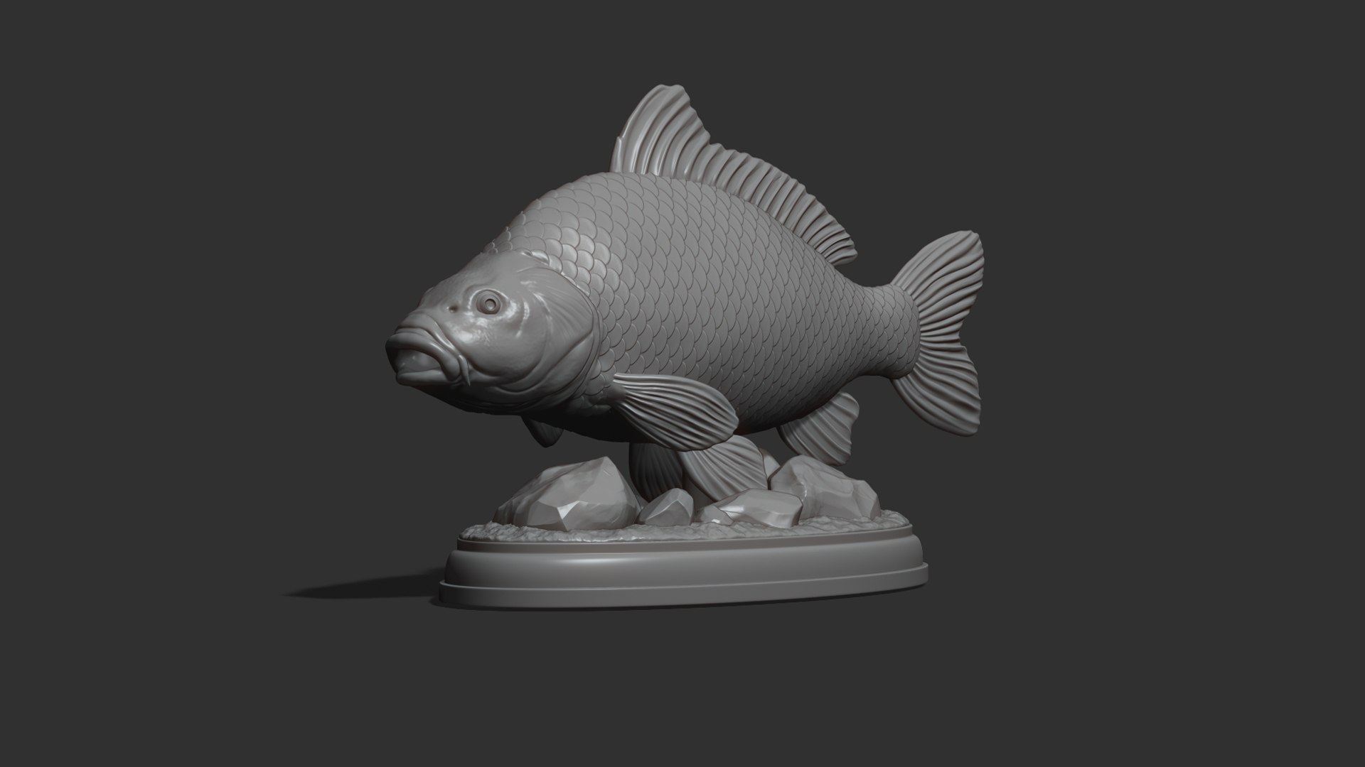 3D Carp Fish On The Base Model - TurboSquid 2229287