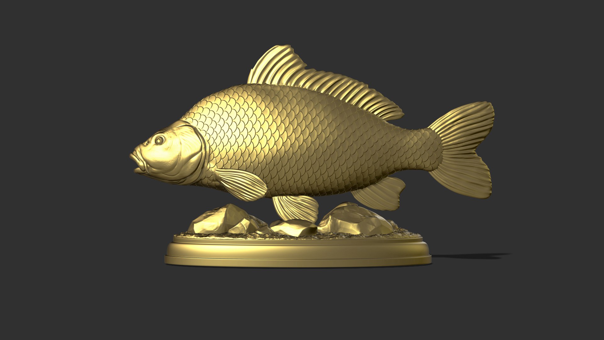 3D Carp Fish On The Base Model - TurboSquid 2229287