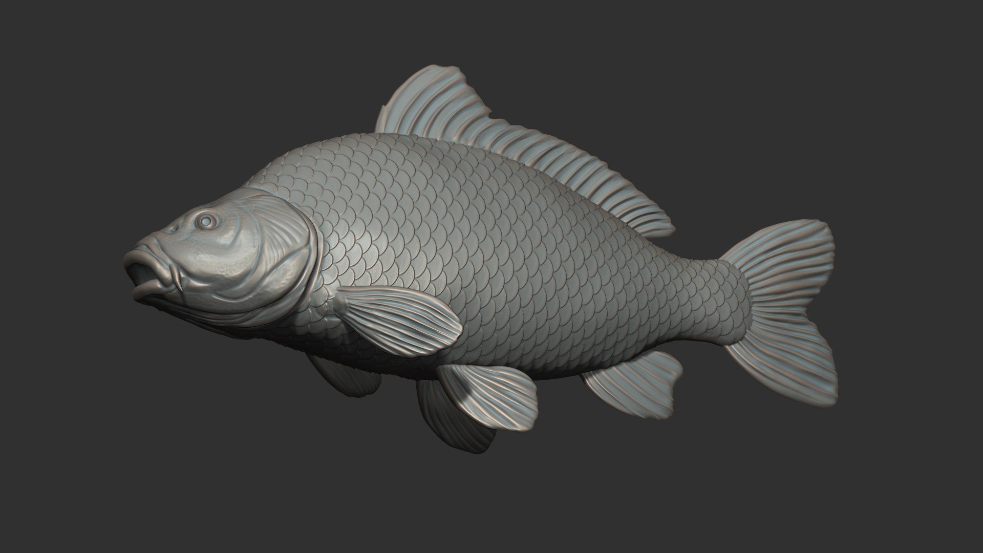 3D Carp Fish On The Base Model - TurboSquid 2229287