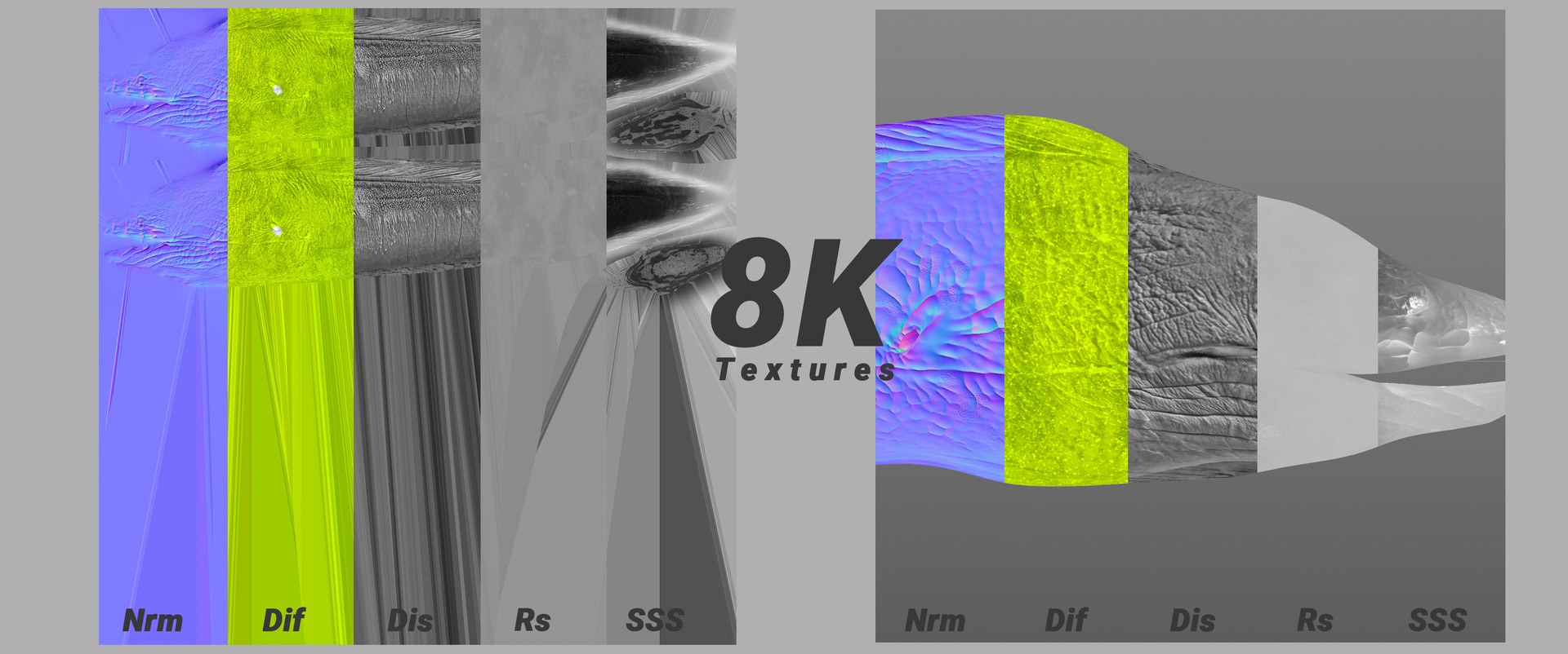 3D - Rig - TurboSquid 1598547