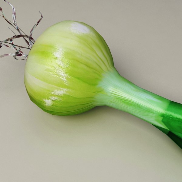 3d model onions set modelled