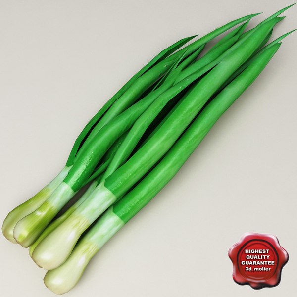 3d model onions set modelled