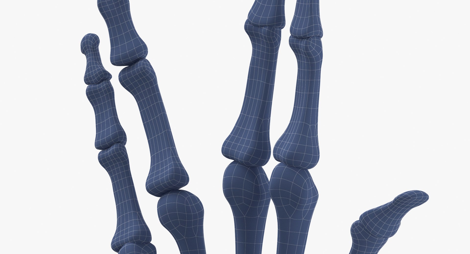 3D model real human hand bones - TurboSquid 1614328