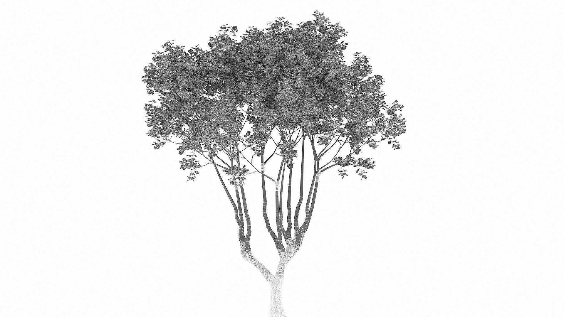 WindAnimated Firmiana Simplex 3D Model - TurboSquid 2025901