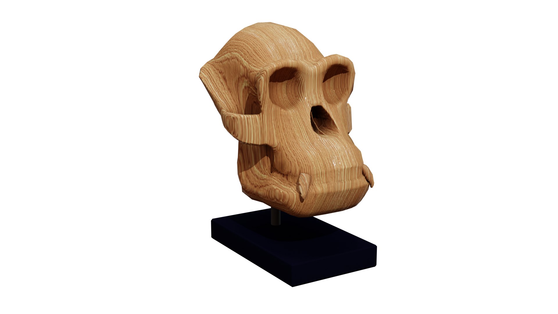 3D Model Skull Chimp - TurboSquid 2220534