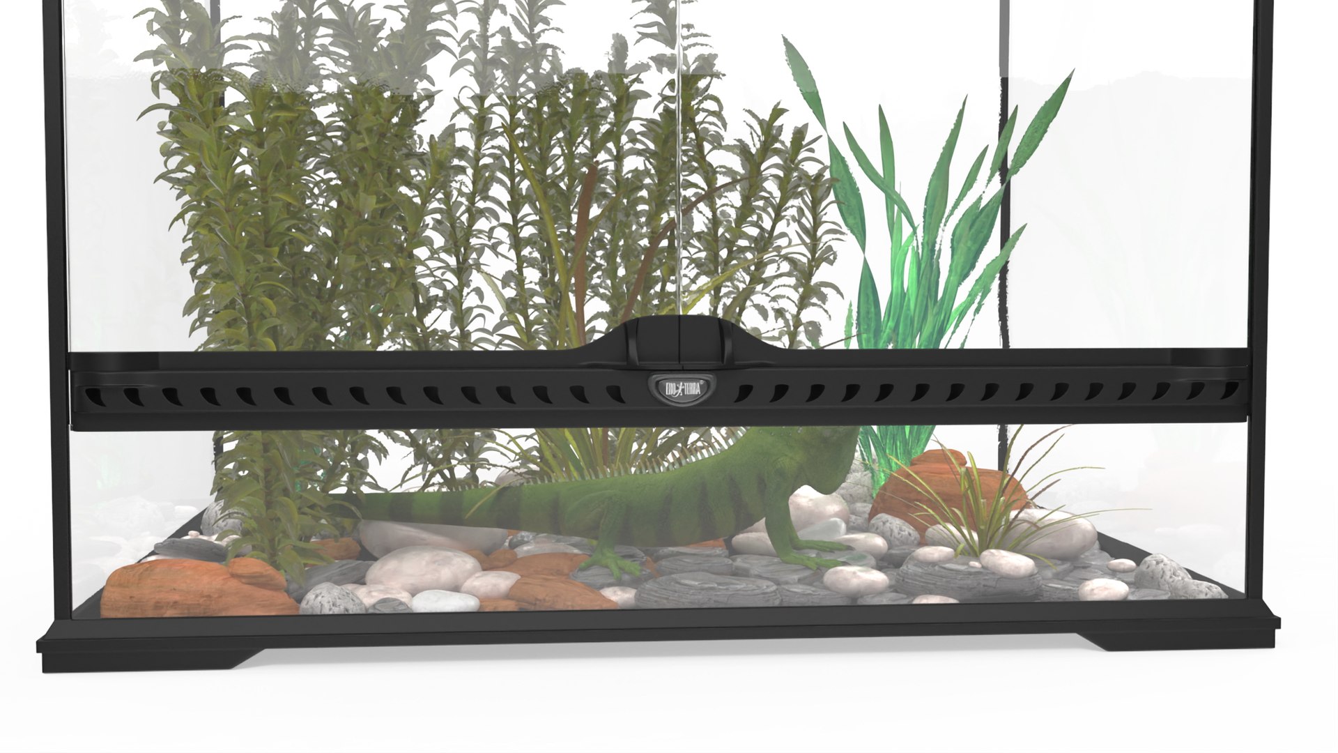 3D Medium Size Terrarium With Green Iguana Model - TurboSquid 2146052