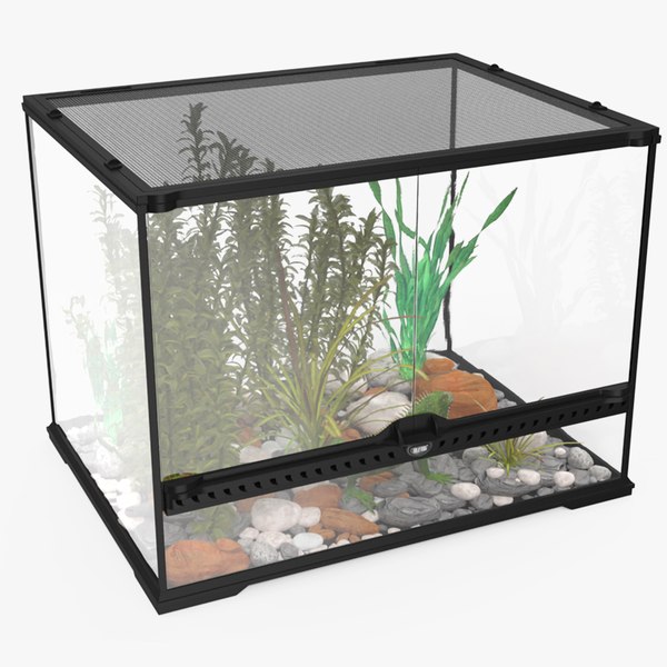 modelo 3d Terrario de tamaño mediano con iguana verde - TurboSquid 2146052
