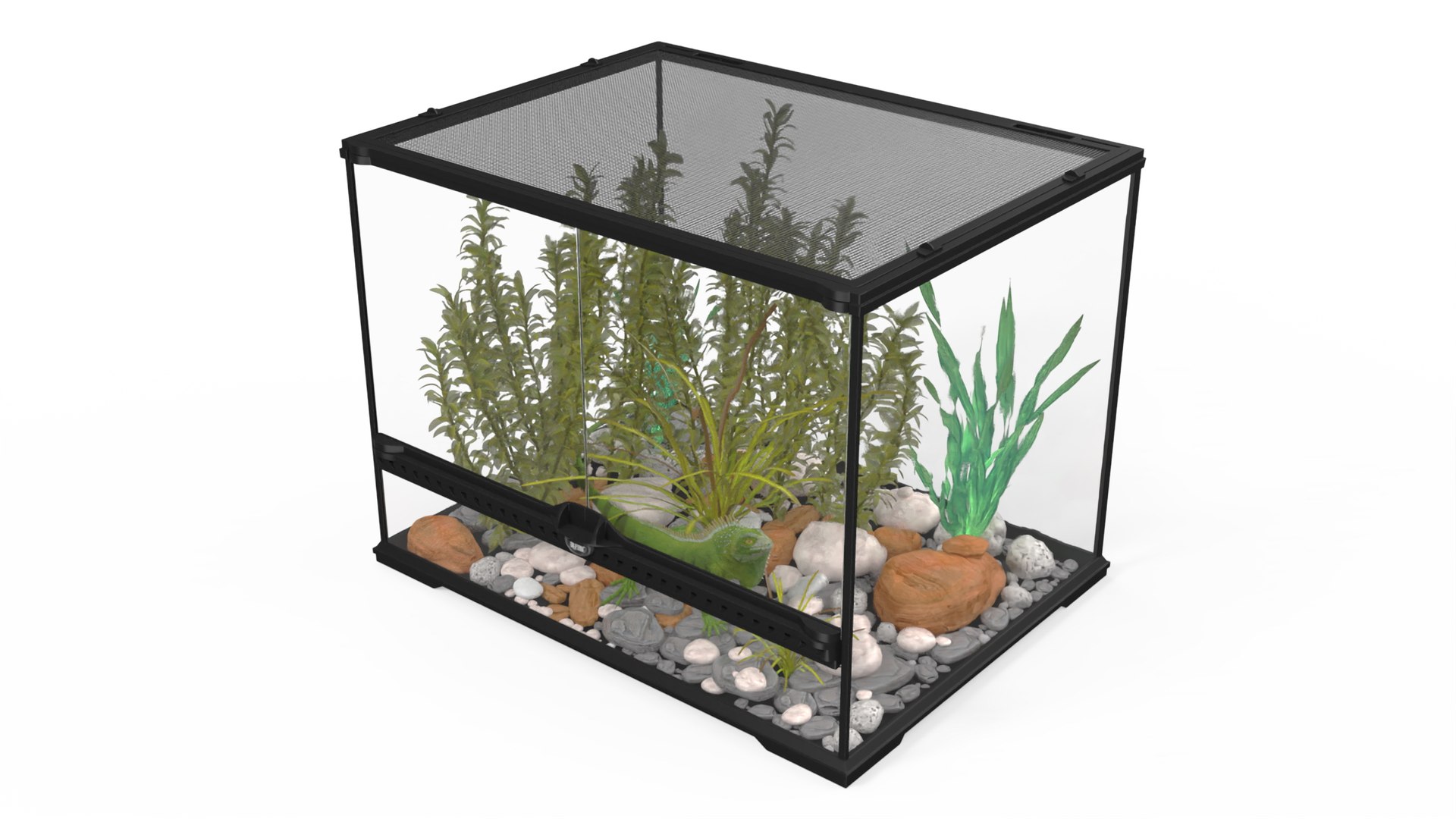 3D Medium Size Terrarium With Green Iguana Model - TurboSquid 2146052