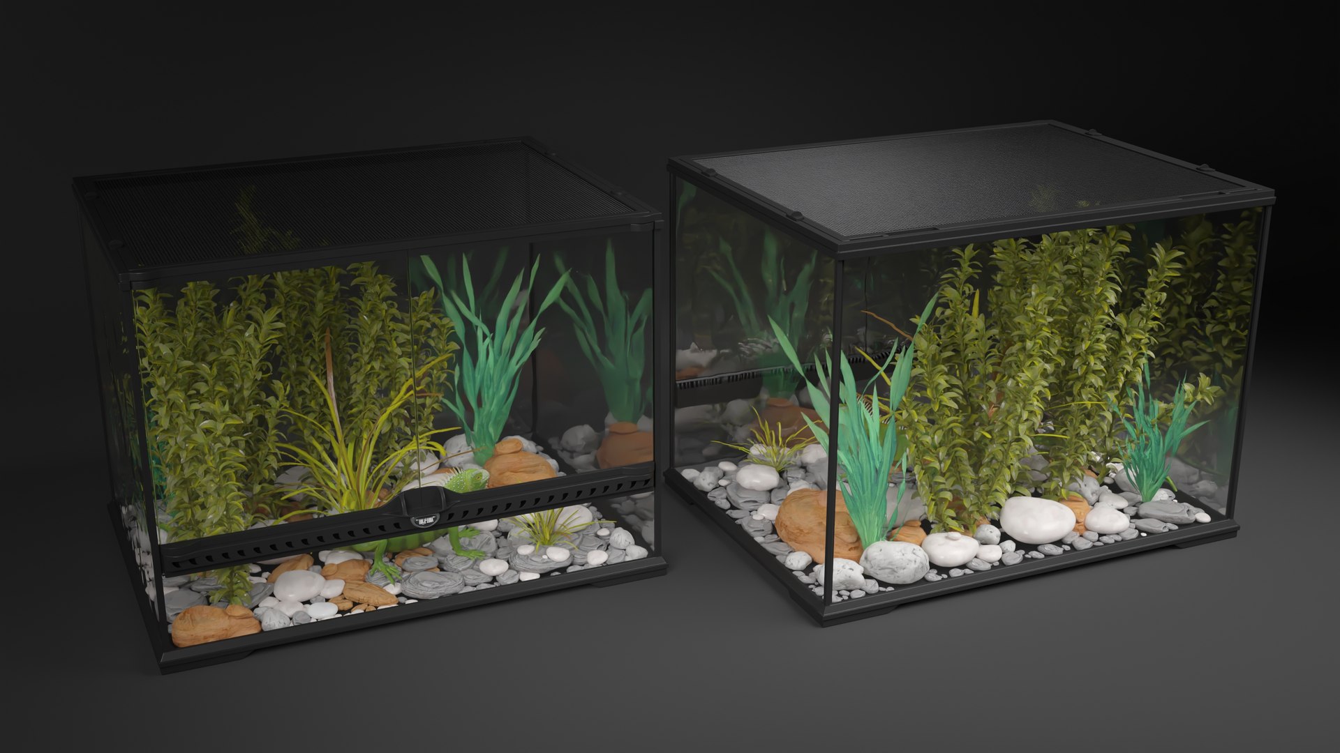 3D Medium Size Terrarium With Green Iguana Model - TurboSquid 2146052