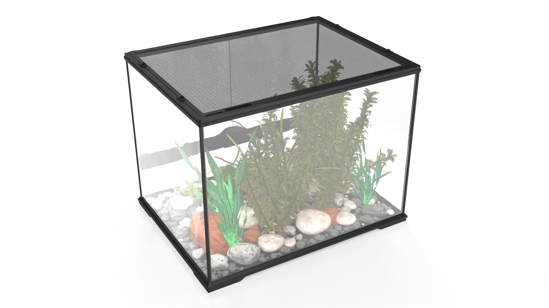 3D Medium Size Terrarium With Green Iguana Model - TurboSquid 2146052
