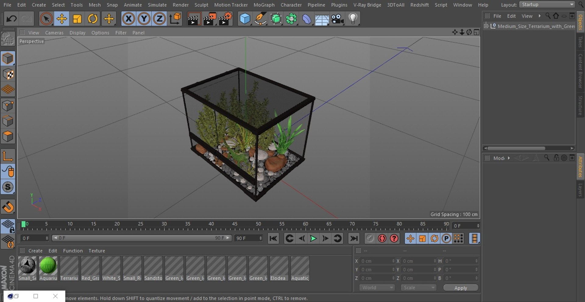 3D Medium Size Terrarium With Green Iguana Model - TurboSquid 2146052