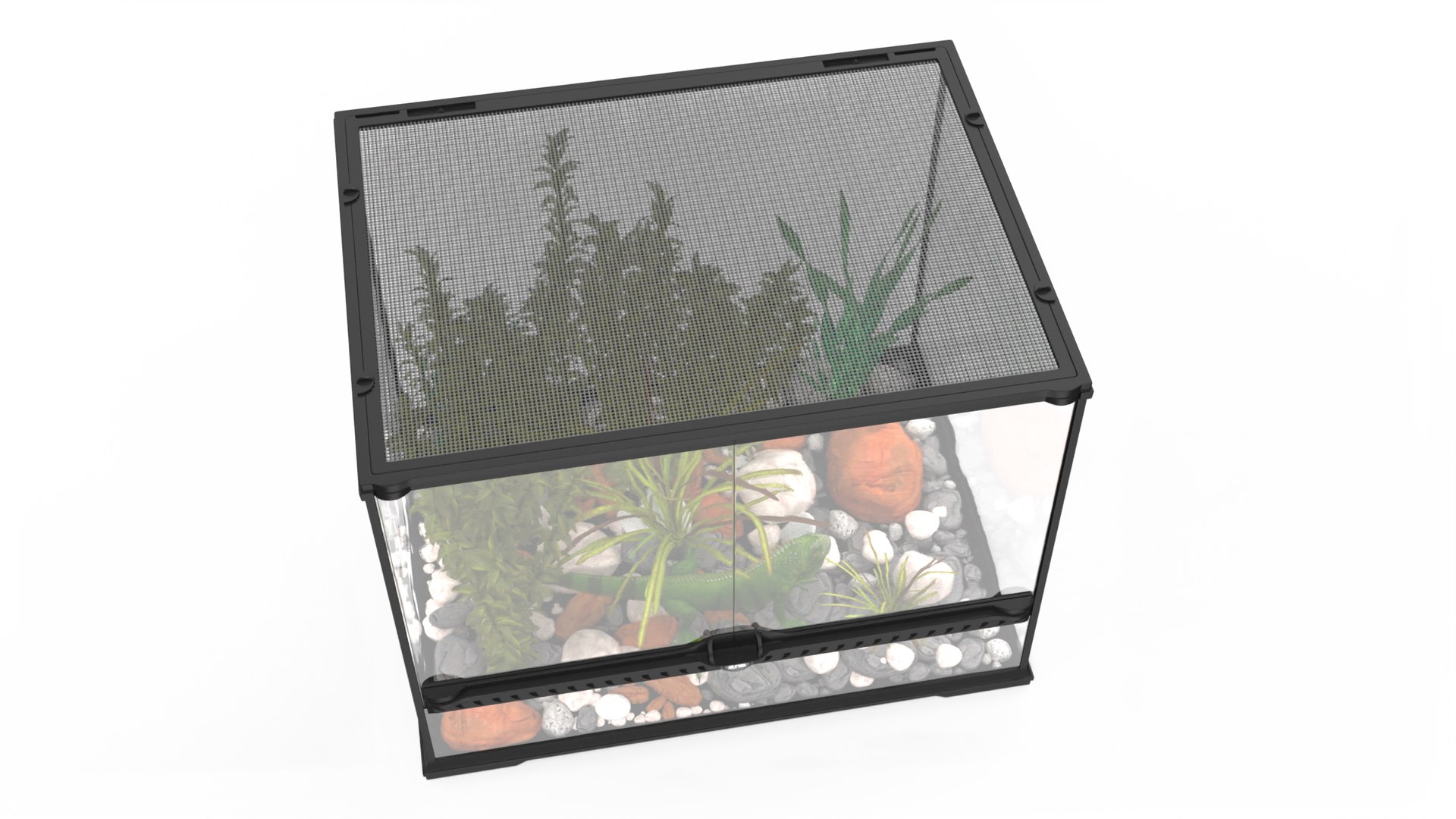3D Medium Size Terrarium With Green Iguana Model - TurboSquid 2146052