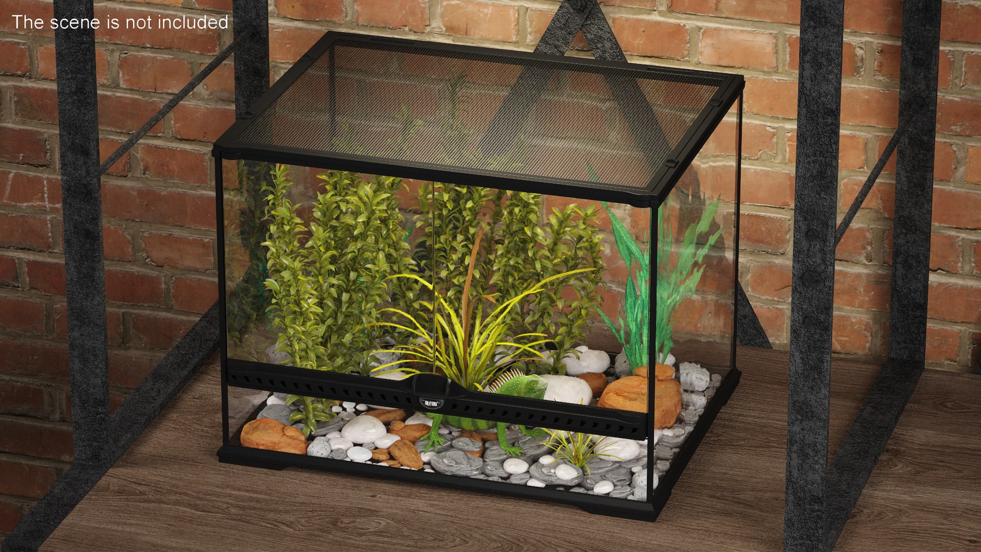 3D Medium Size Terrarium With Green Iguana Model - TurboSquid 2146052