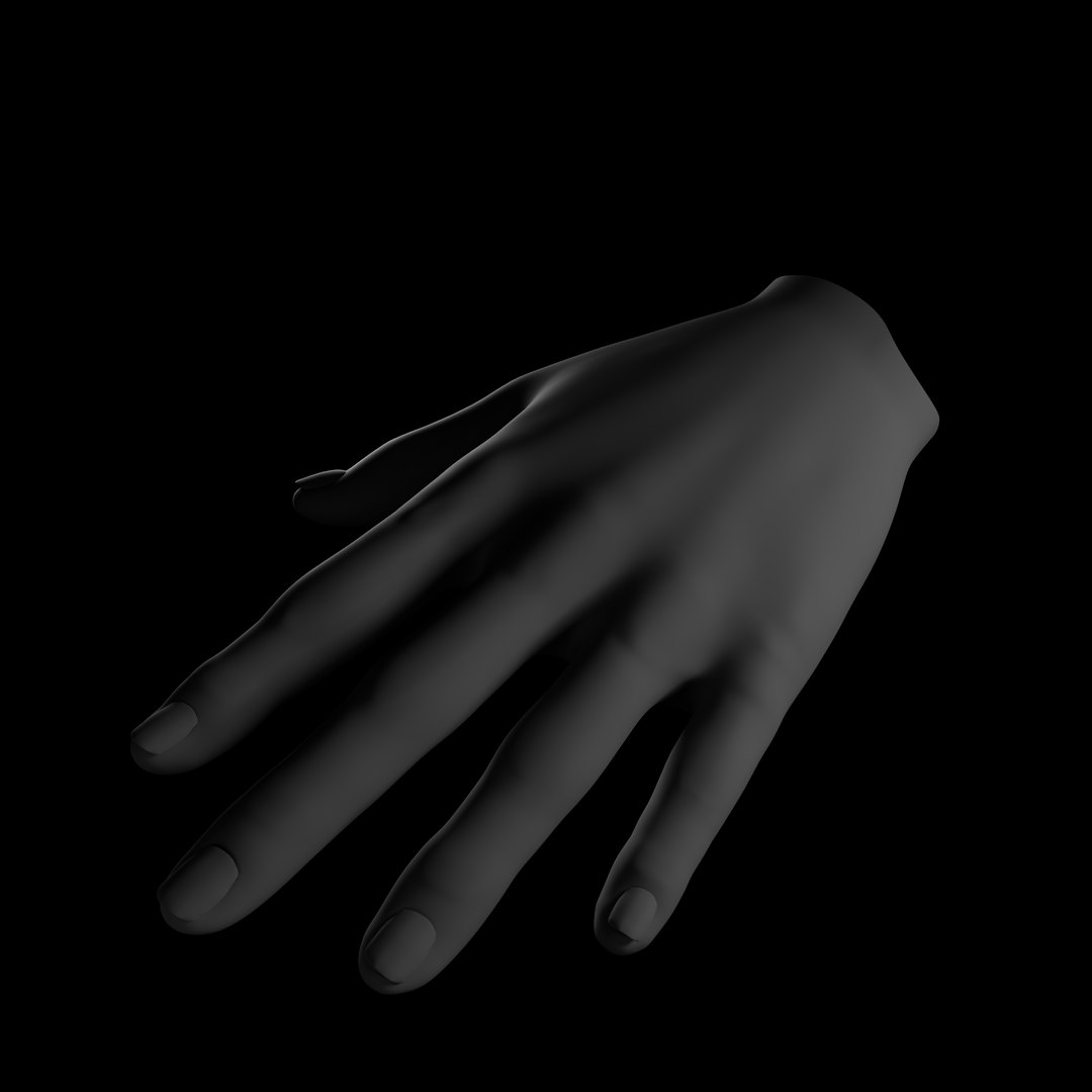 Hand Obj Fbx 3D Model - TurboSquid 2053214