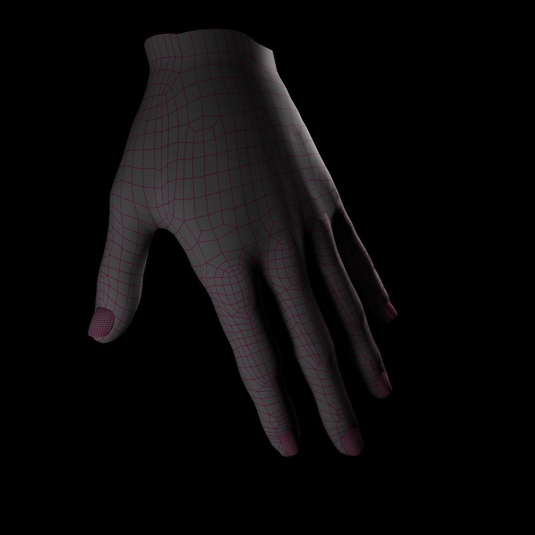 Hand Obj Fbx 3D Model - TurboSquid 2053214