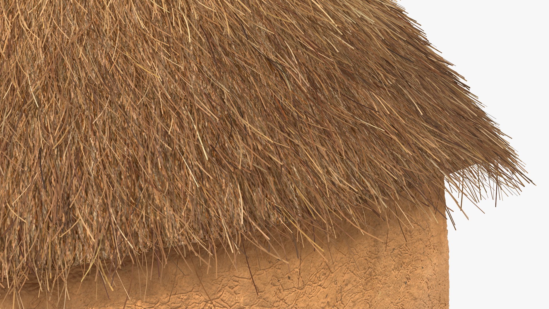 Traditional African Mud Hut Fur Model - TurboSquid 1784452