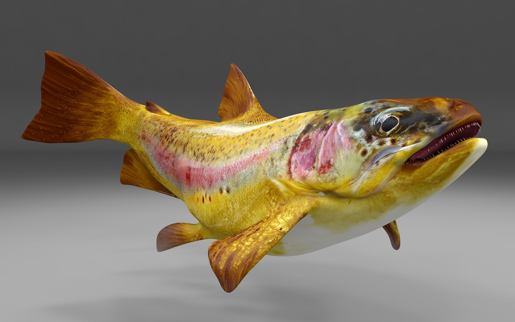 3D TROUT L1443 Model - TurboSquid 2066979