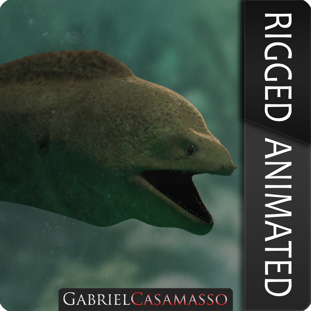 Moray Eel 3D - TurboSquid 1150274