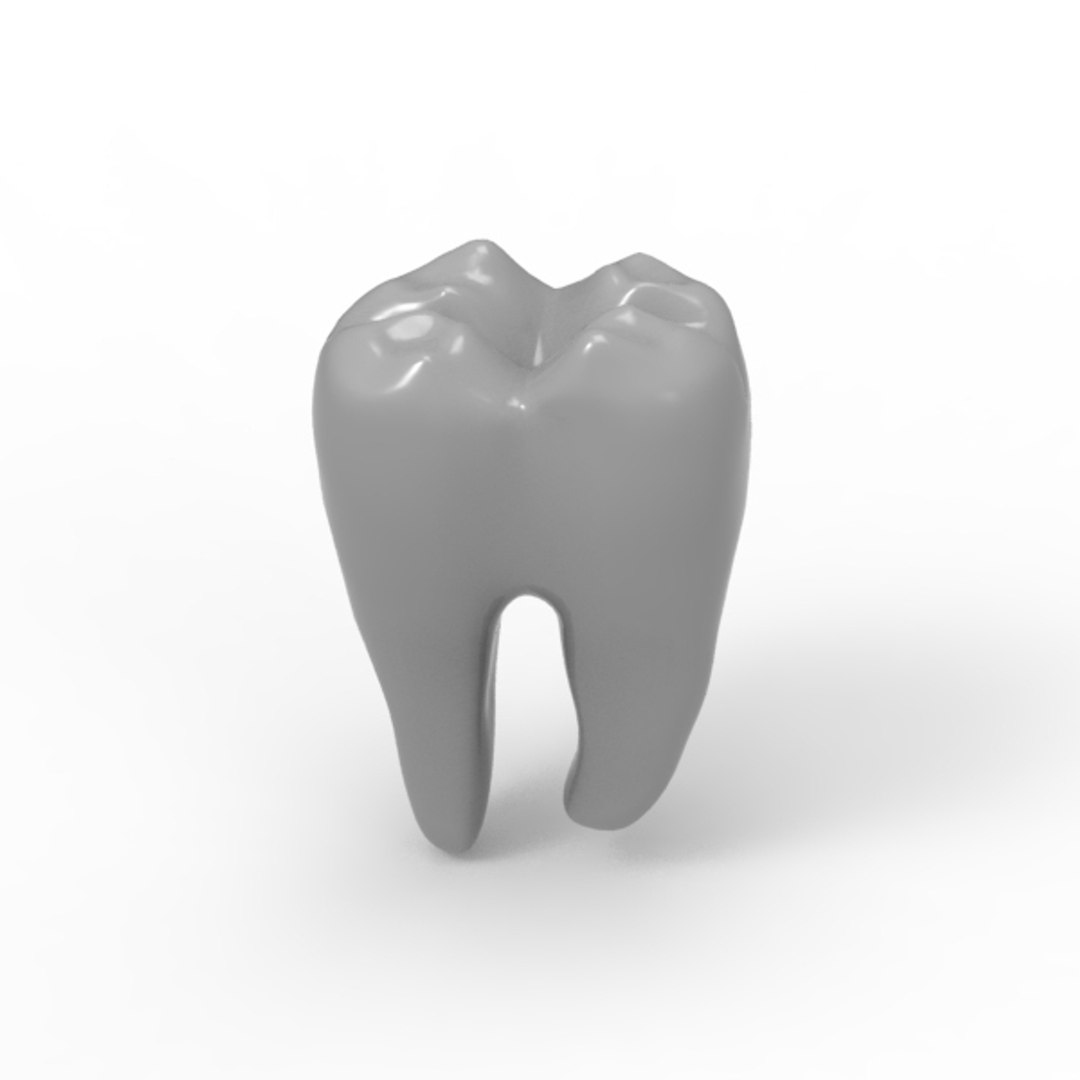 Tooth 3d Model