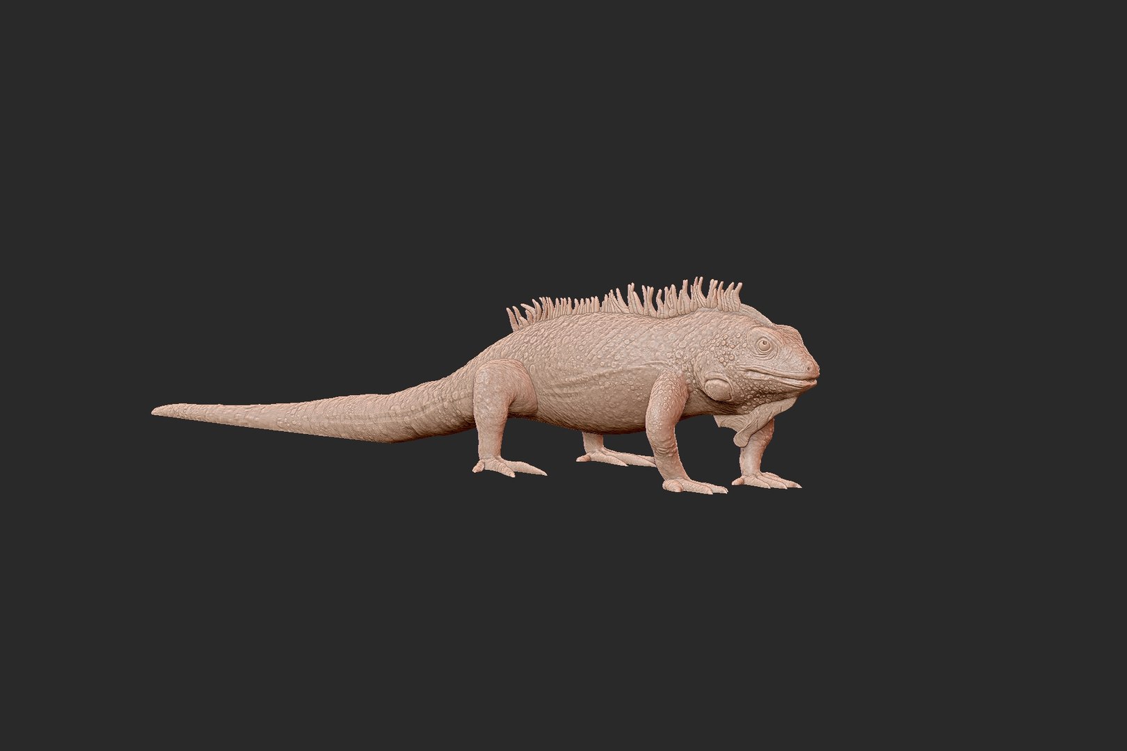 Iguana 3D Model - TurboSquid 2139724