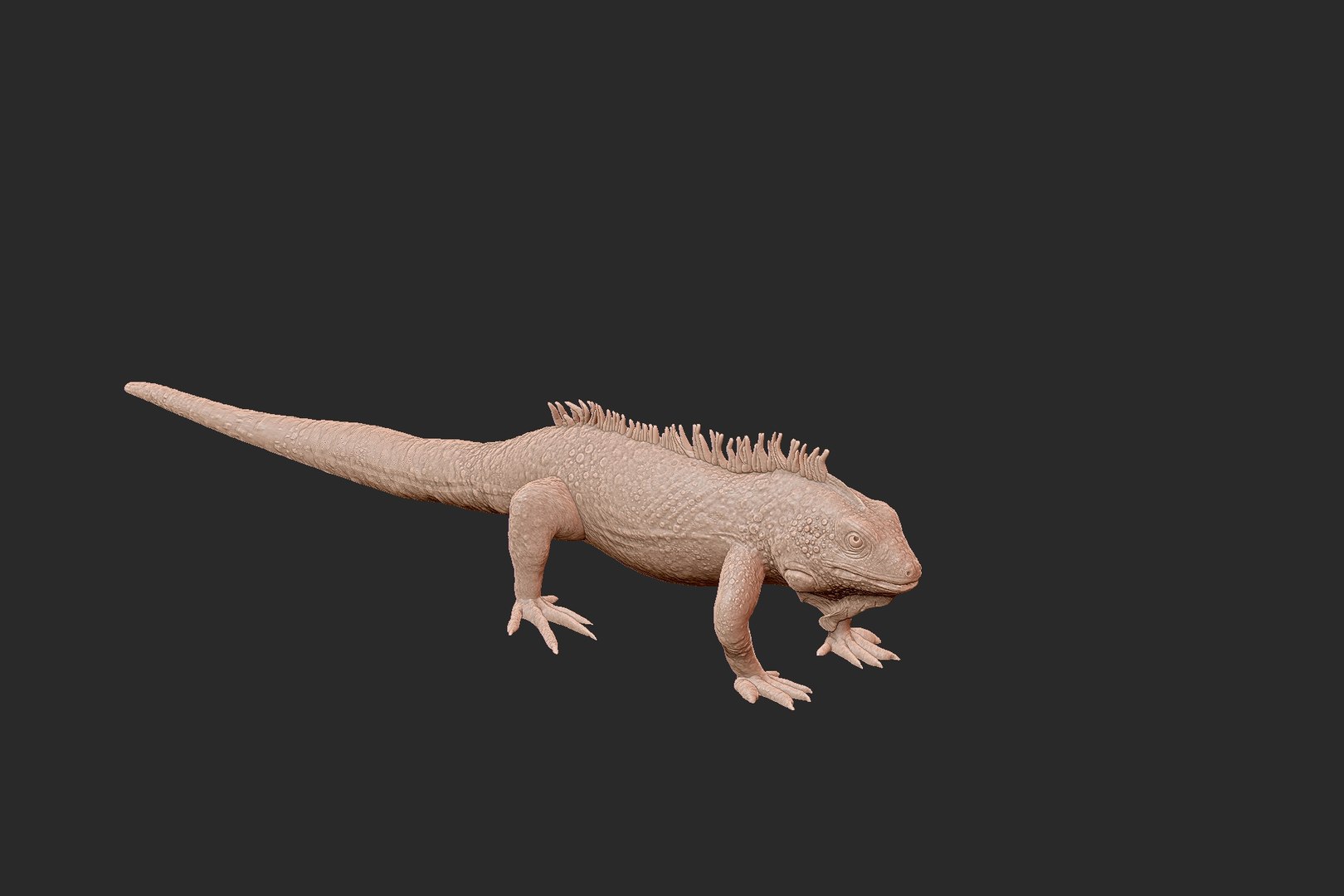 Iguana 3D Model - TurboSquid 2139724