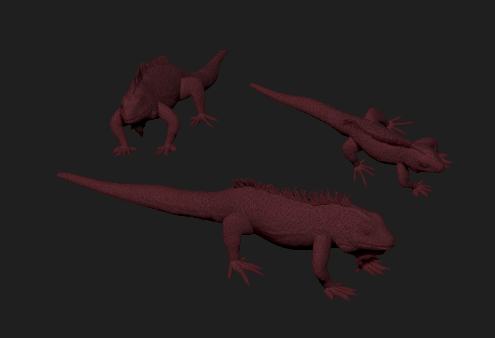 Iguana 3D Model - TurboSquid 2139724