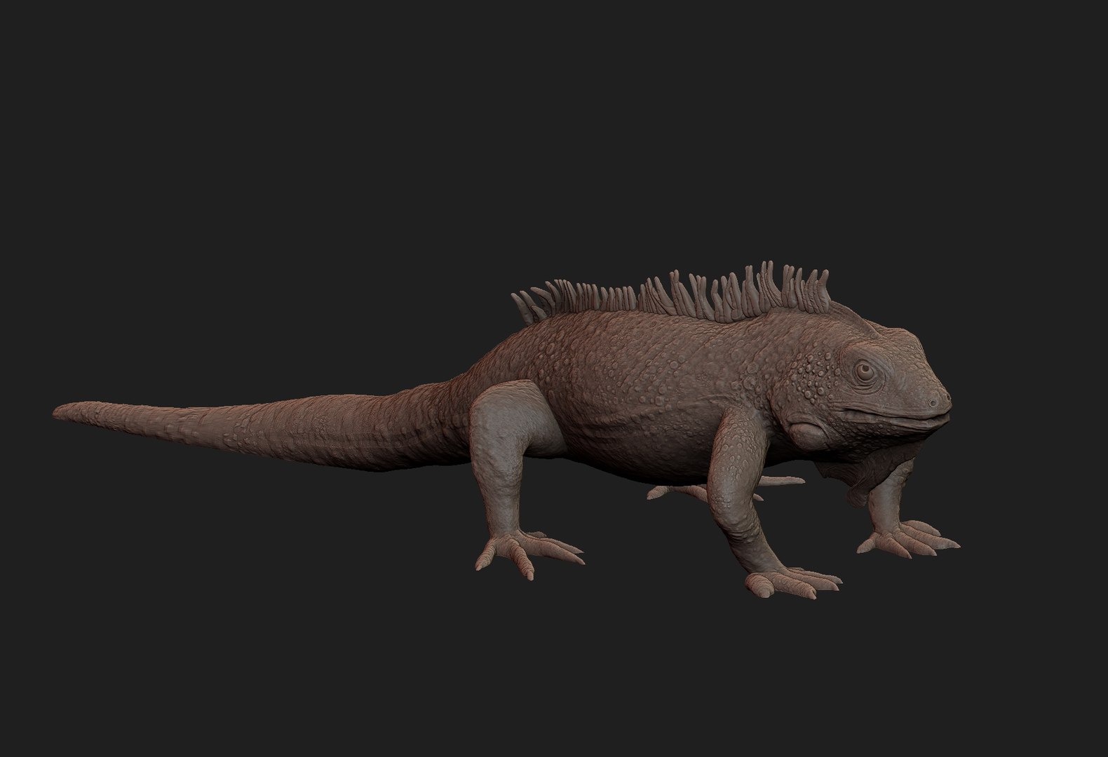 Iguana 3D Model - TurboSquid 2139724
