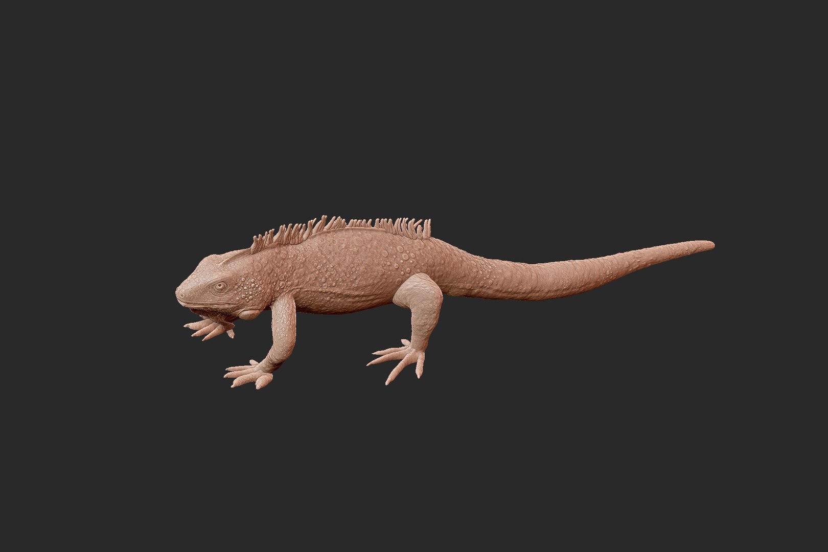 Iguana 3D Model - TurboSquid 2139724