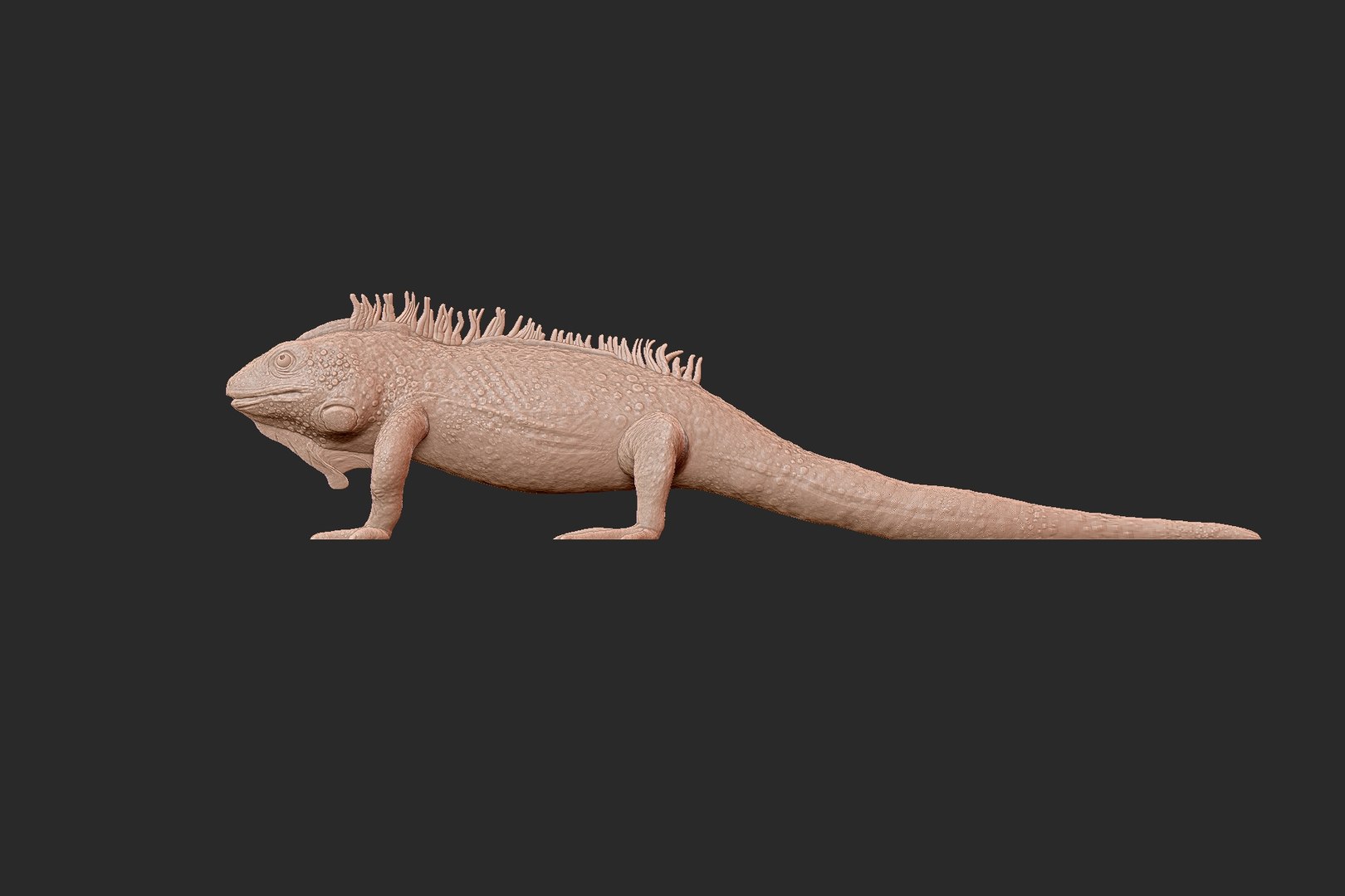 Iguana 3D Model - TurboSquid 2139724
