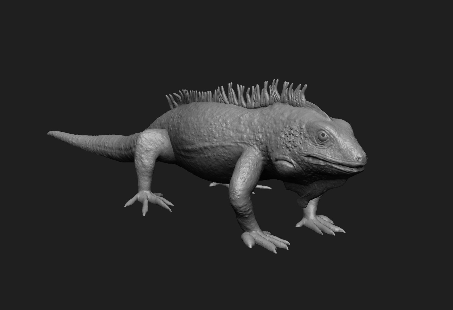 Iguana 3D Model - TurboSquid 2139724