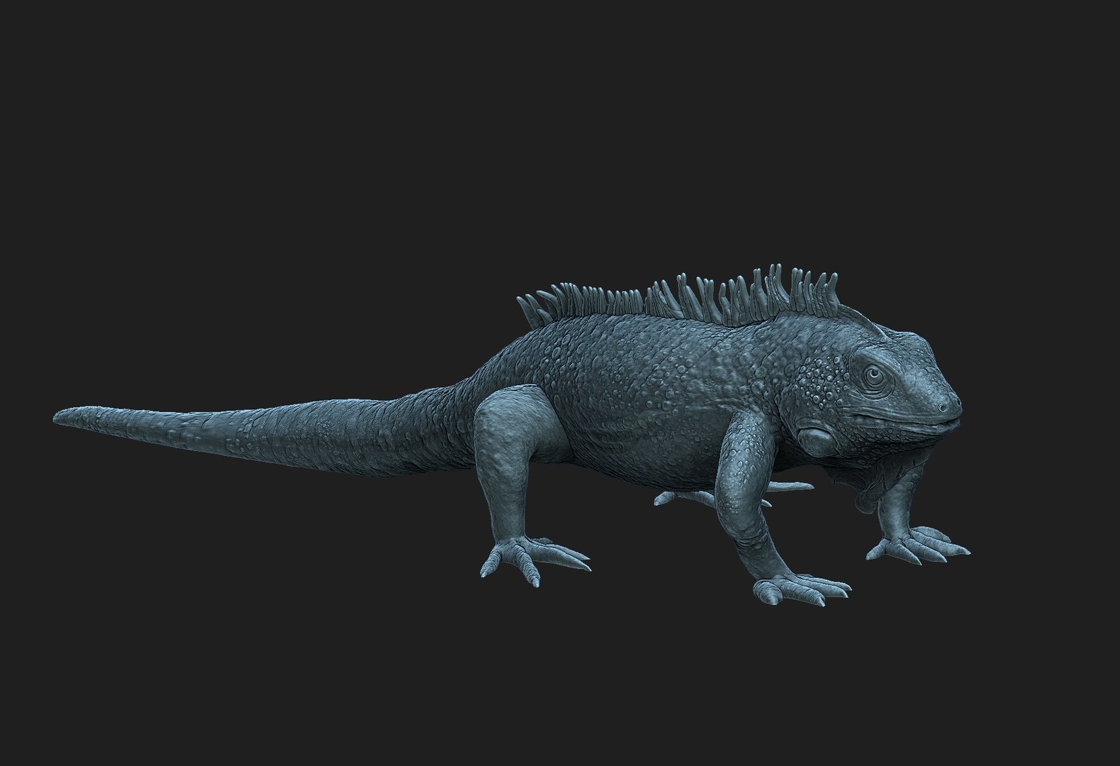 Iguana 3D Model - TurboSquid 2139724