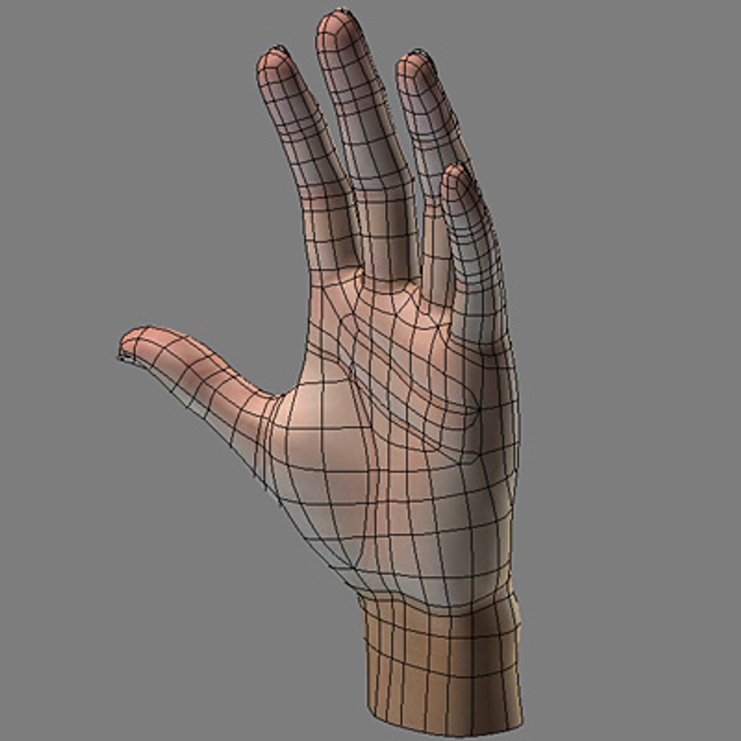 Realistic Hand 3d Model