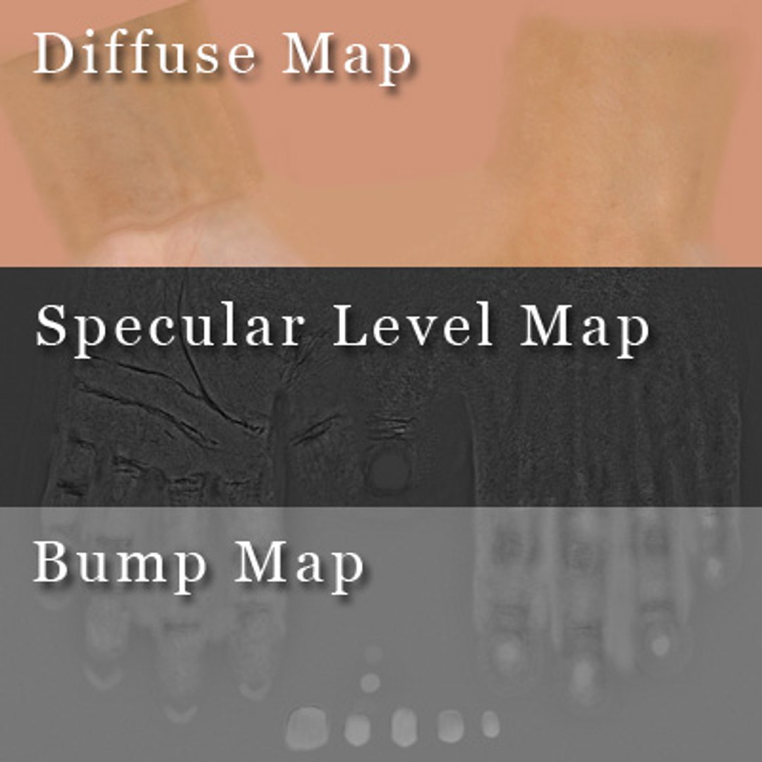 Realistic Hand 3d Model