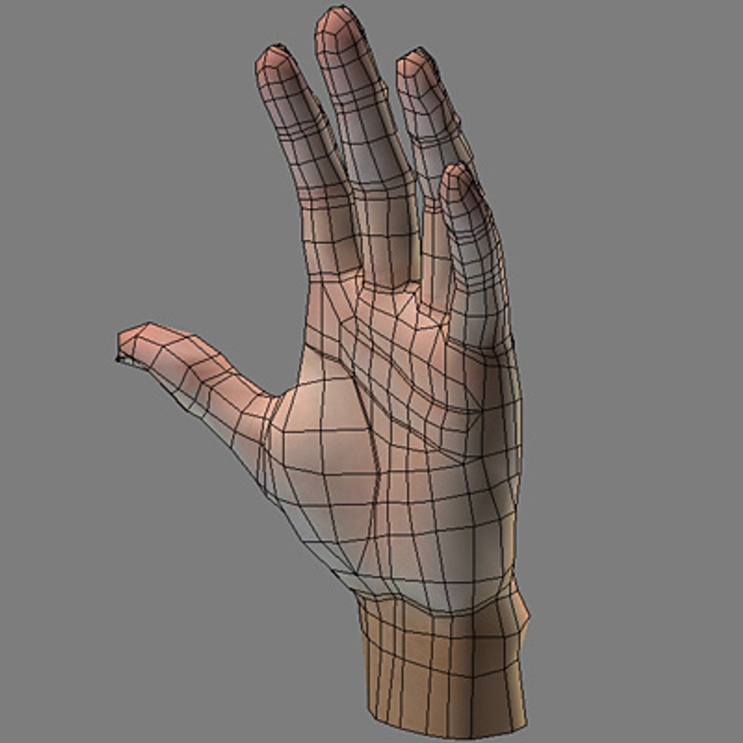 Realistic Hand 3d Model
