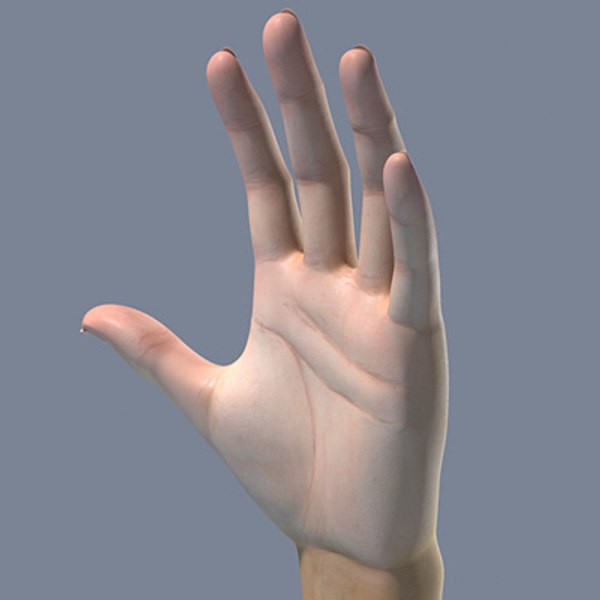 realistic hand 3d model