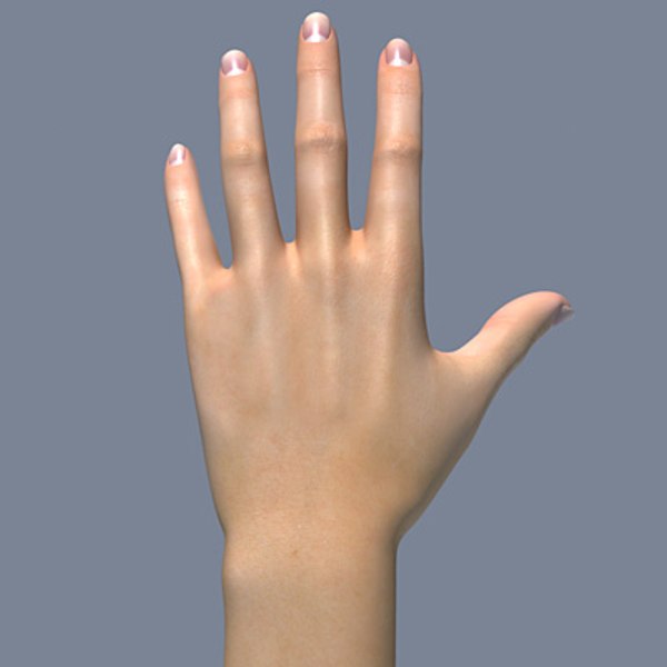 realistic hand 3d model