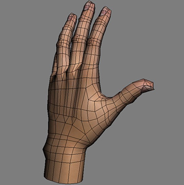 realistic hand 3d model