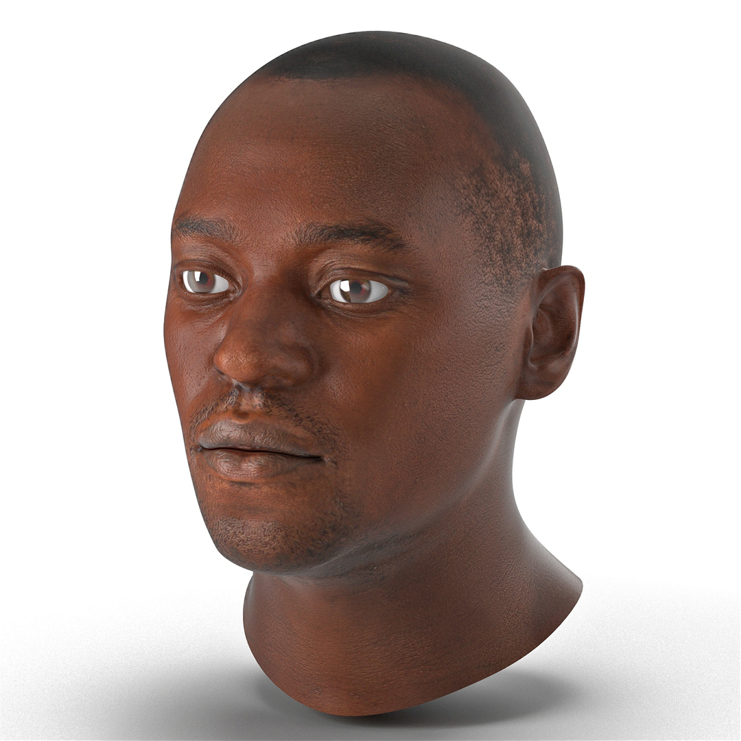 Male Heads Collection 3 3D - TurboSquid 1868741