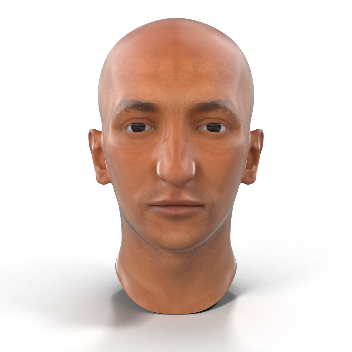 Male Heads Collection 3 3D - TurboSquid 1868741