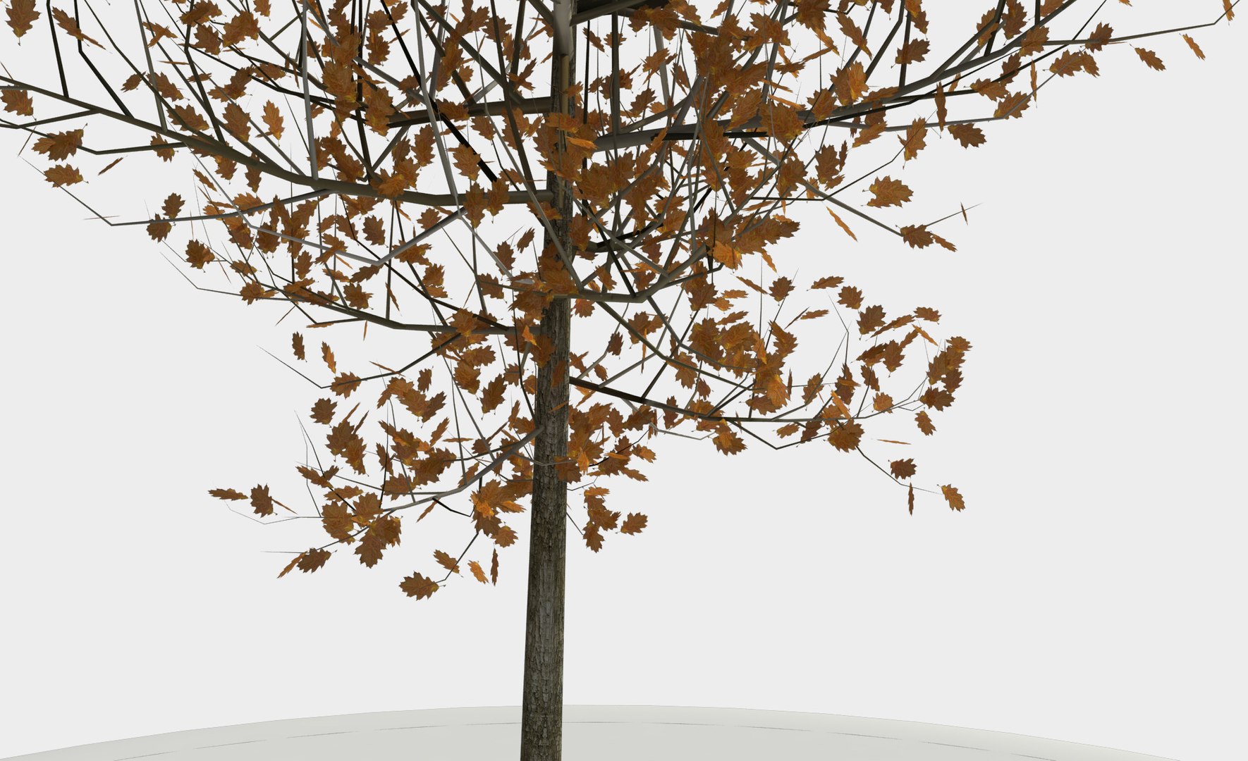 3ds Tree Architectural