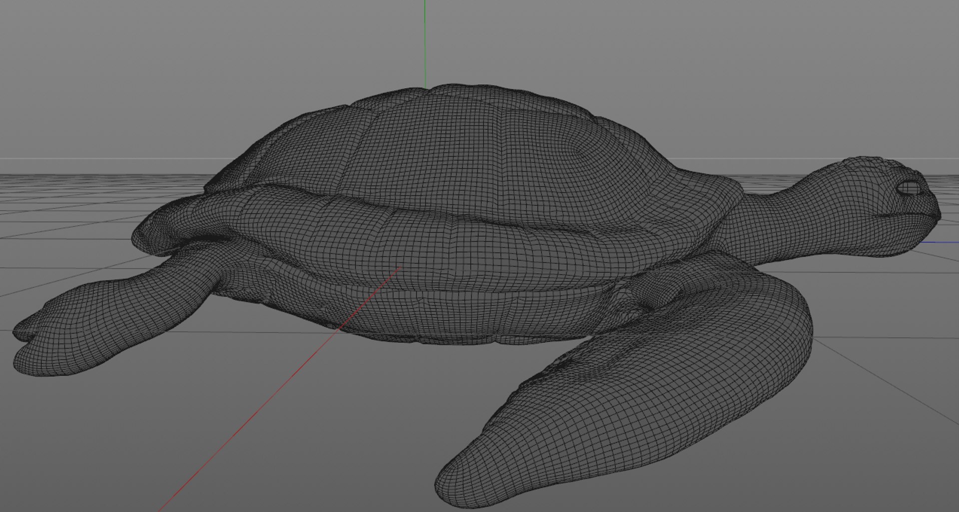 Green Turtle 3D - TurboSquid 1442471