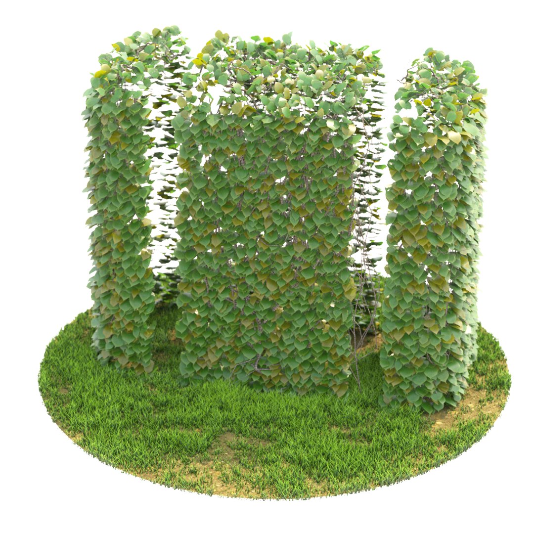 V-ray 3D Model - TurboSquid 1639051