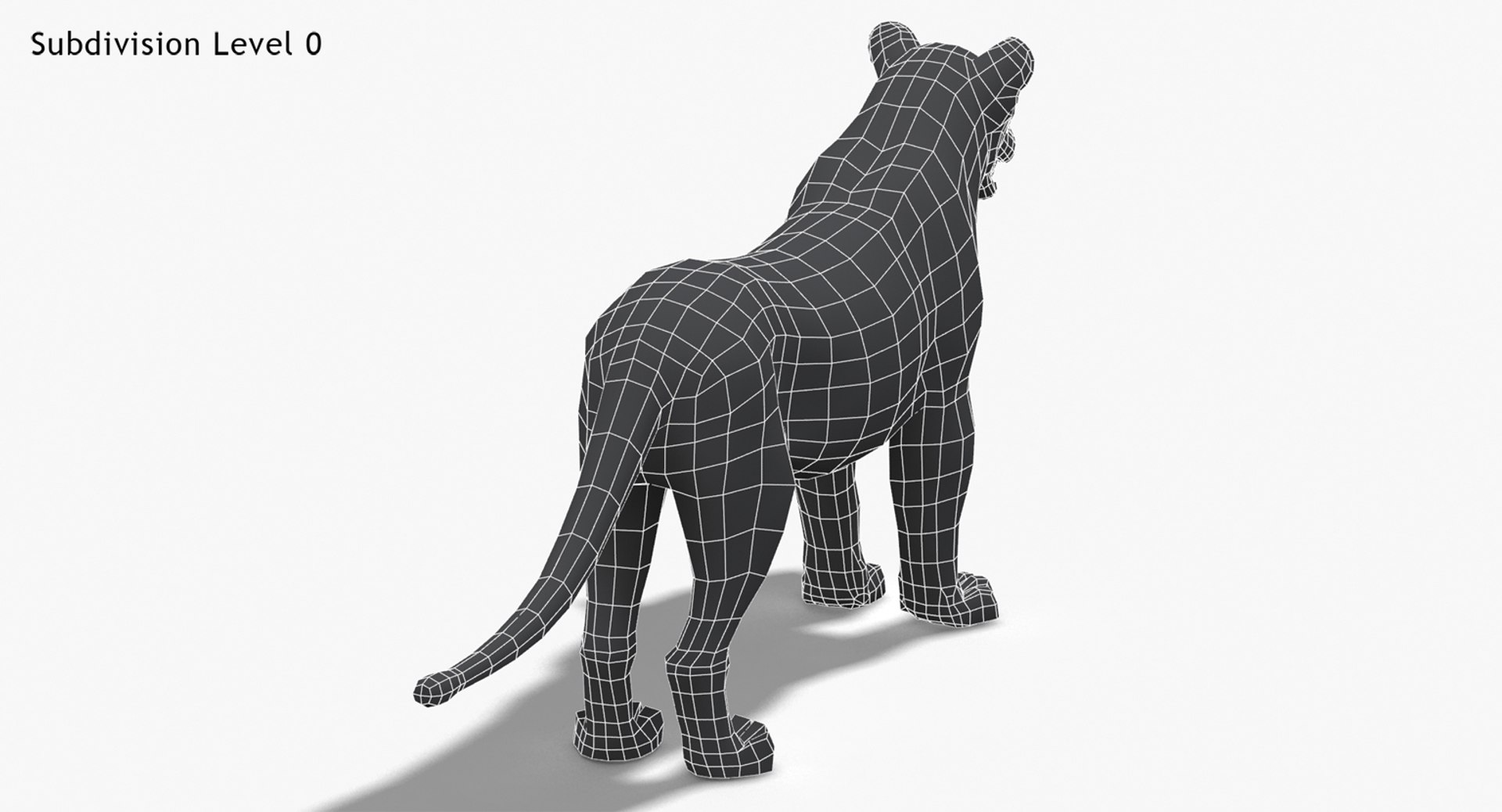 3d Lioness Lp Model