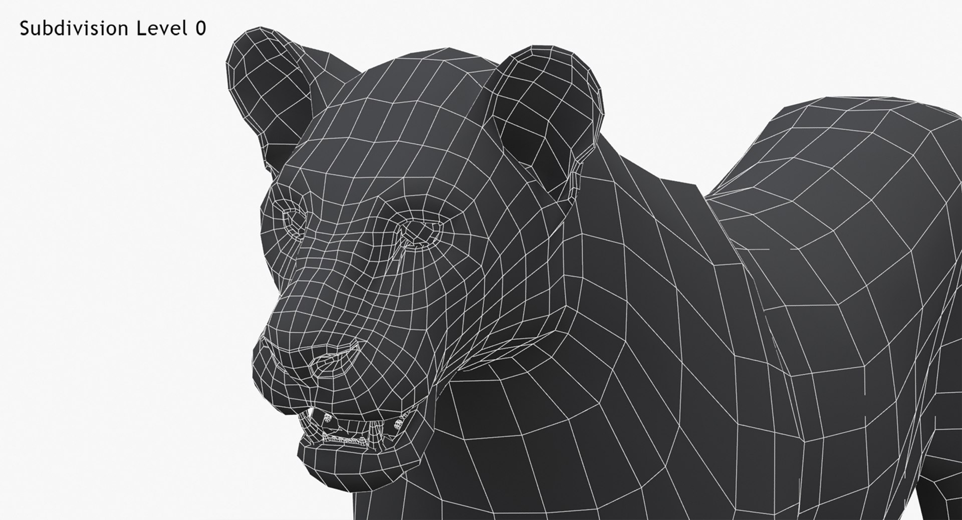 3d Lioness Lp Model